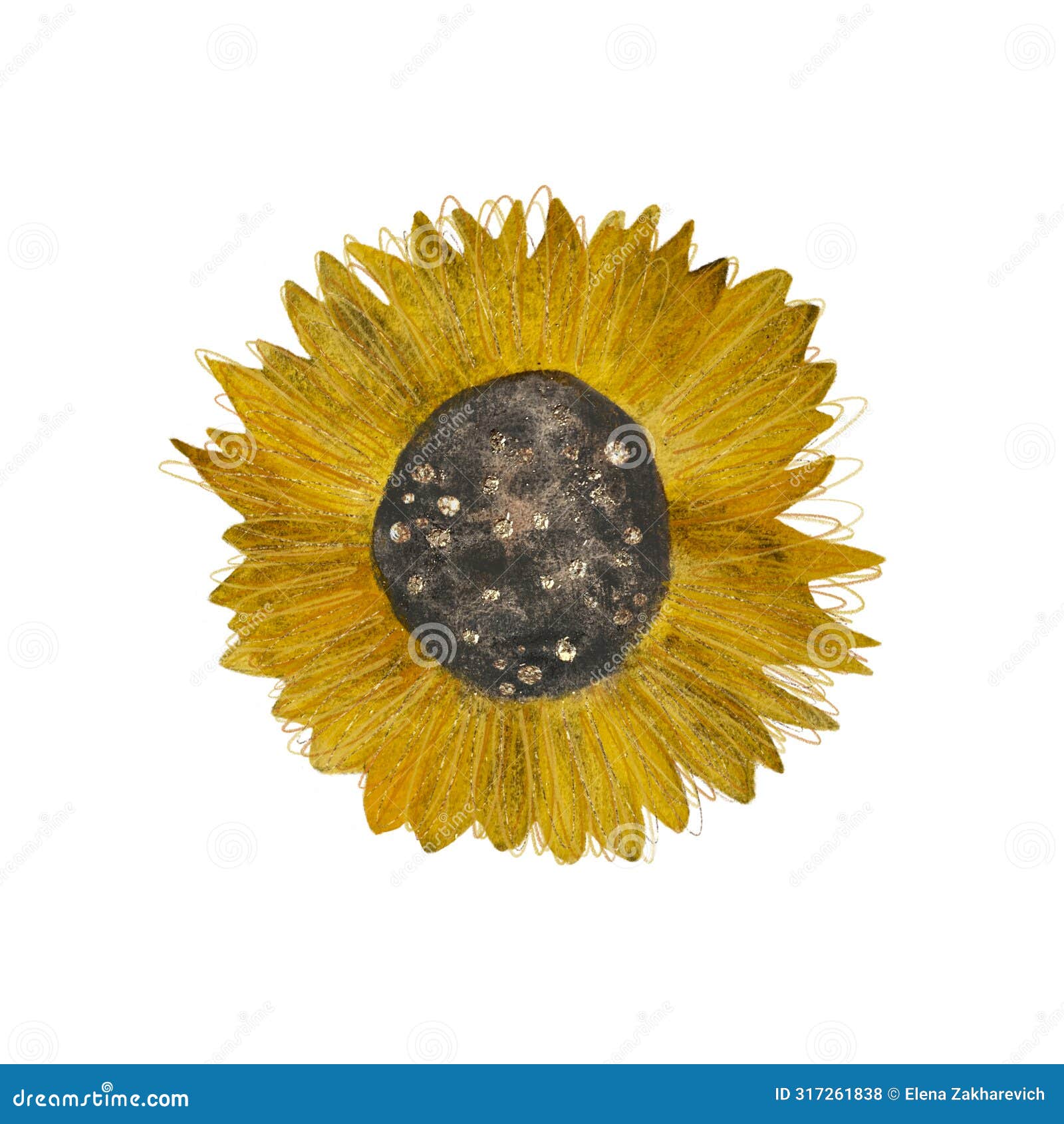 Decorative Yellow Sunflower, Watercolor Isolated Object on White ...