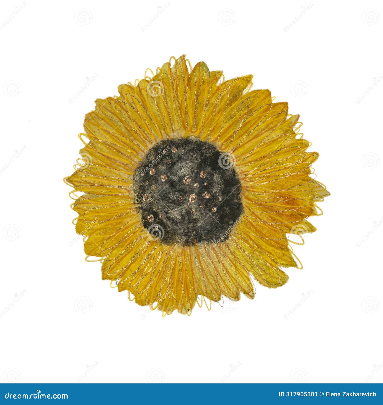 Decorative Yellow Sunflower, Watercolor Isolated Object on White ...