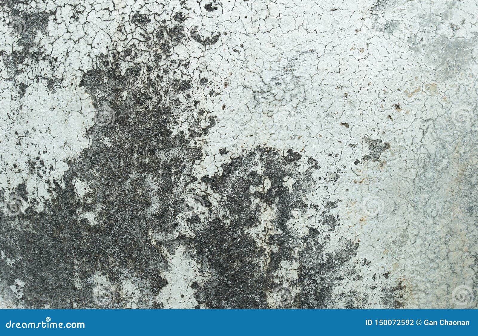 Decrepit White Dirty Plaster Wall with Cracked Structure Horizontal ...