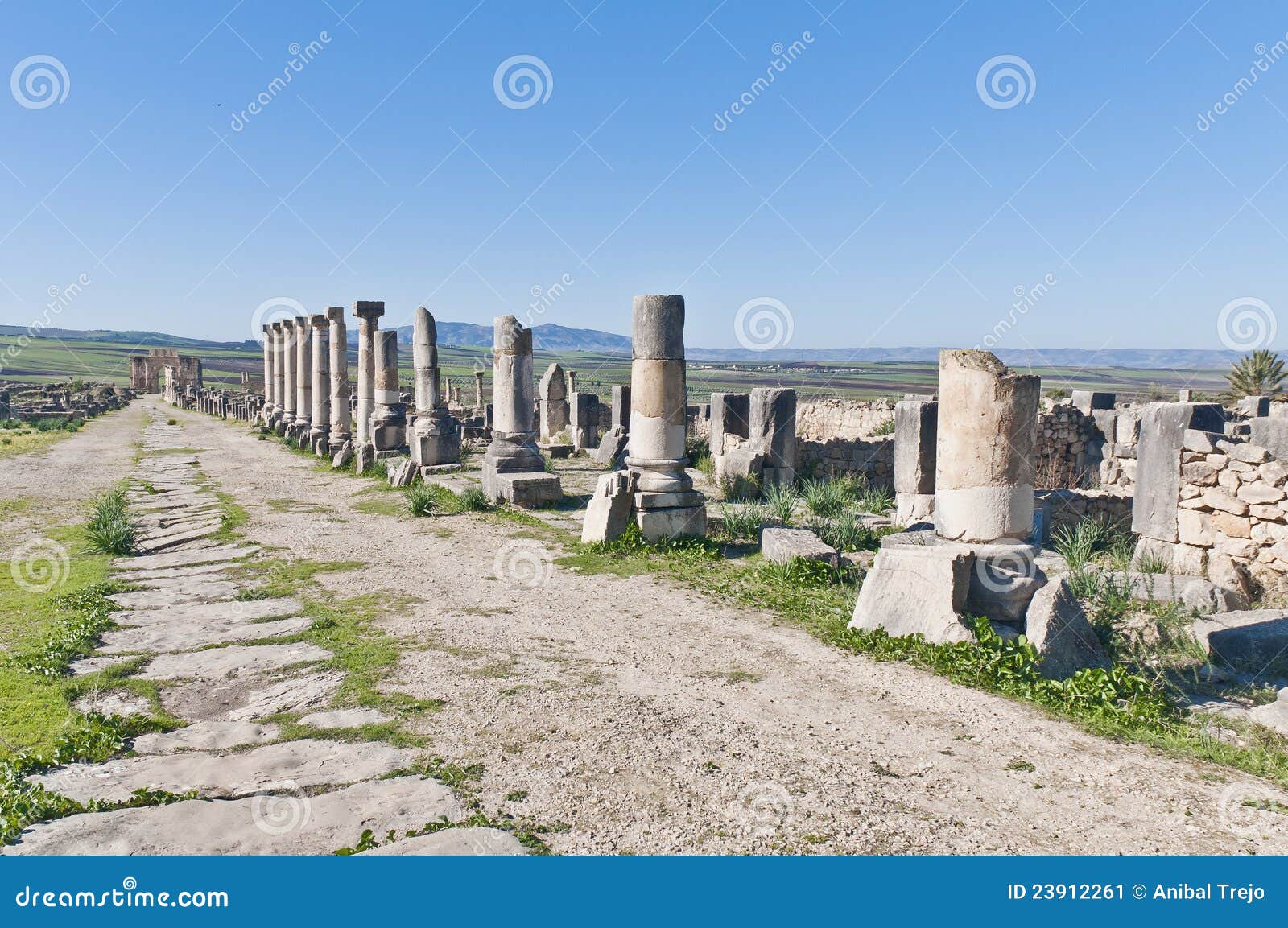 Decumanus Maximus at Volubilis, Morocoo Stock Image - Image of journey ...