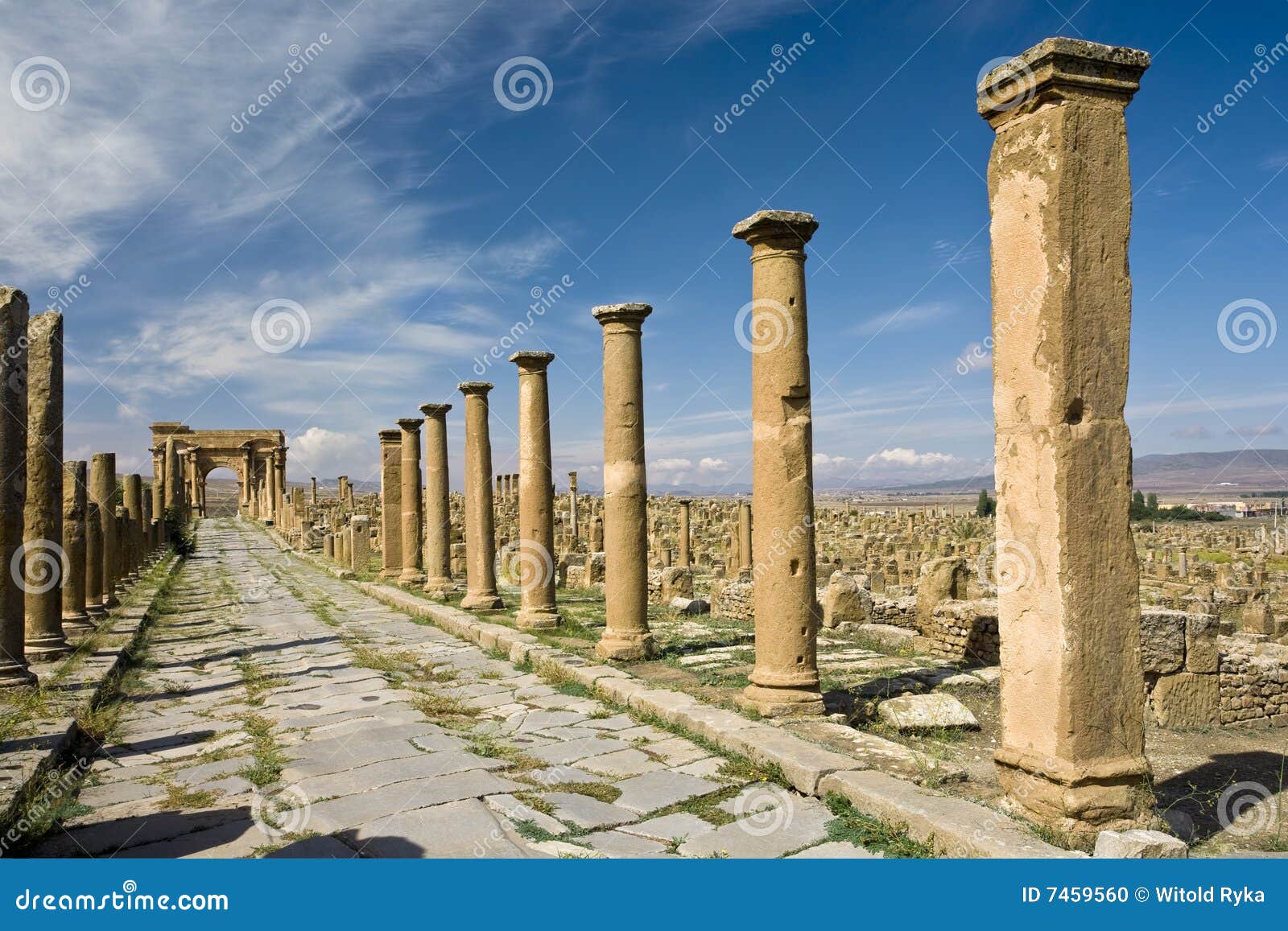 Decumanus street in Timgad stock photo. Image of column - 7459560