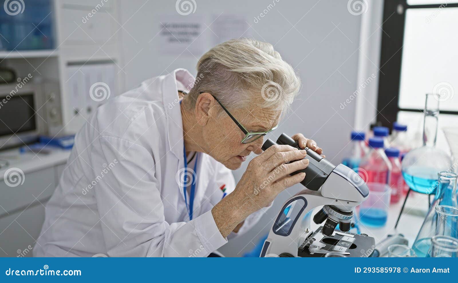 Dedicated Grey-haired Senior Woman Scientist Immersed in Intense ...
