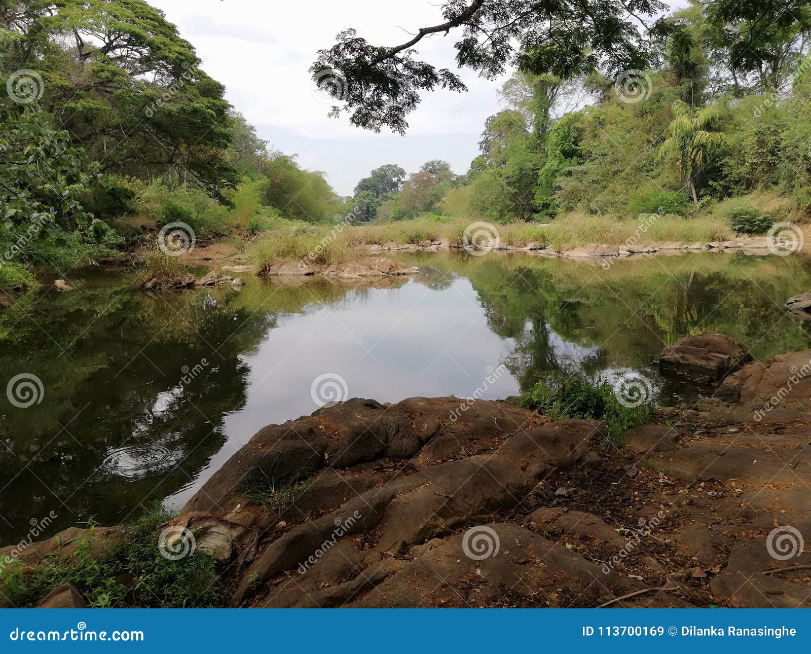 Deduru oya stock image. Image of kurunegala, colombo - 113700169