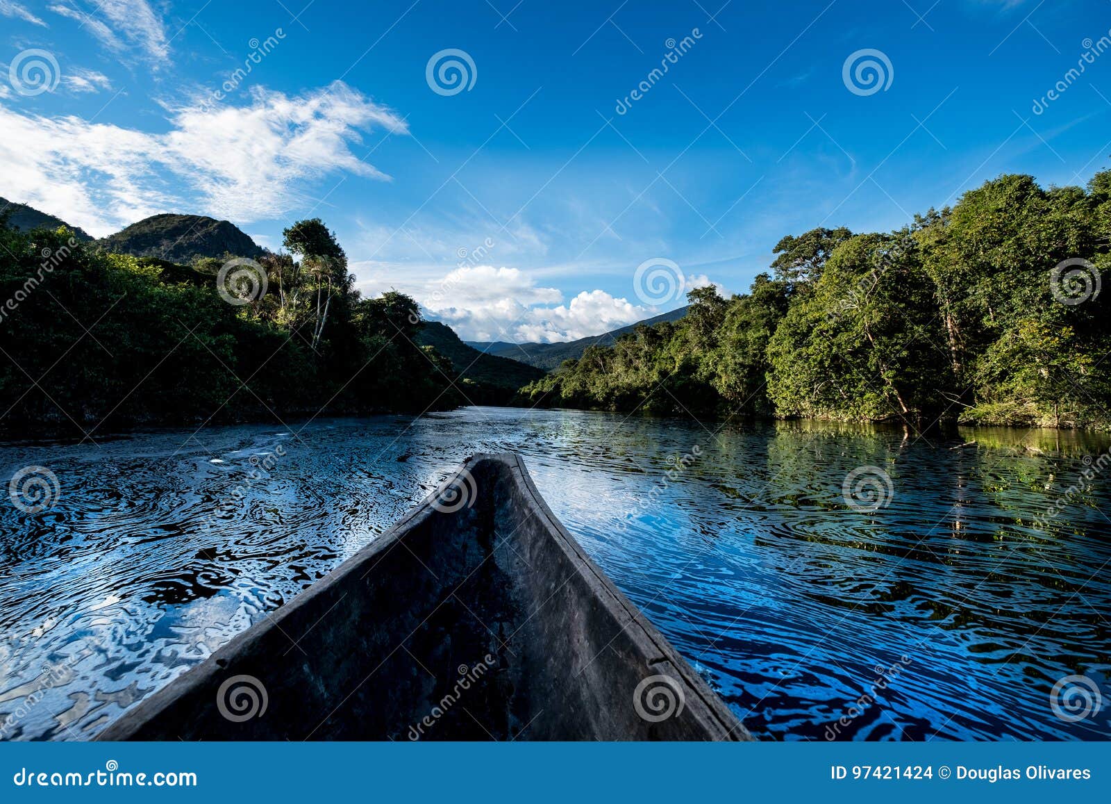 Deep in the Amazon Jungle stock photo. Image of south - 97421424