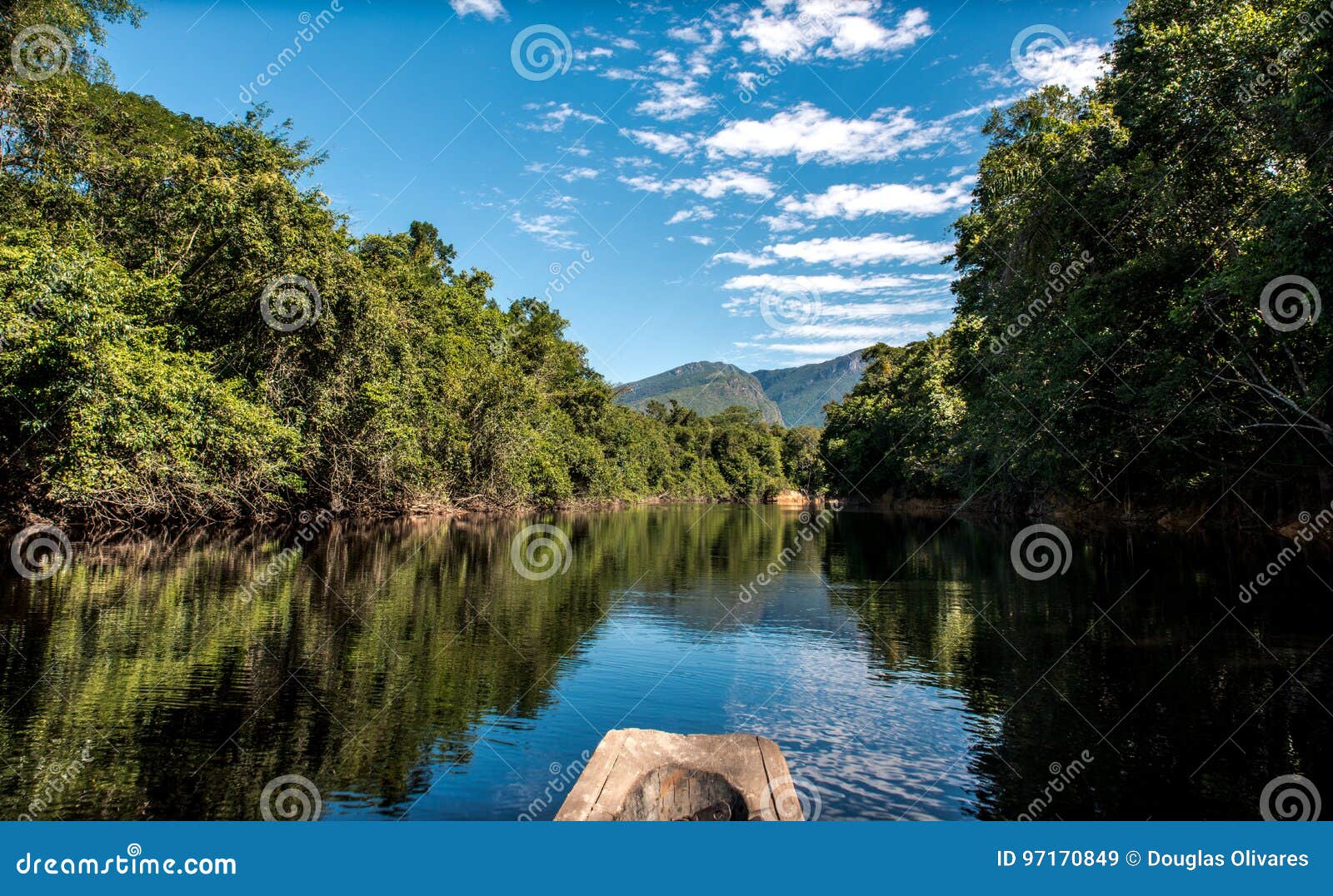 Deep in the Amazon Jungle stock image. Image of water - 97170849