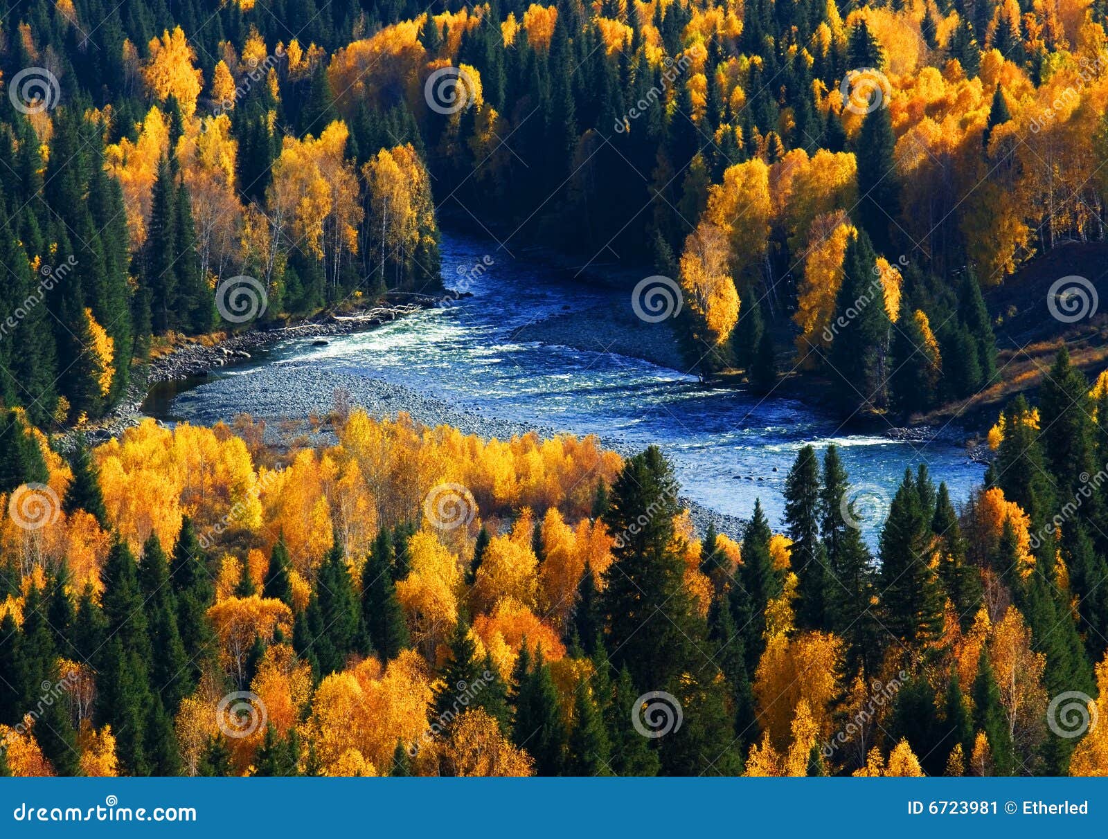 Deep autumn stock image. Image of wintry, silence, natural - 6723981
