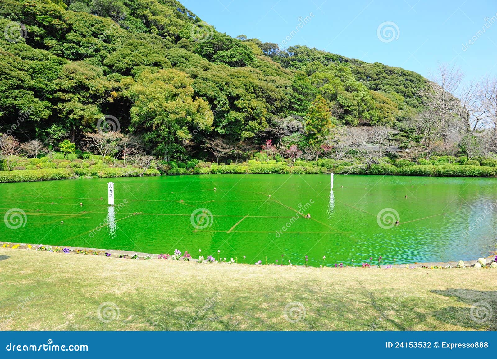 Deep Azure Thermal Hot Pond Stock Photo - Image of hell, geothermal ...