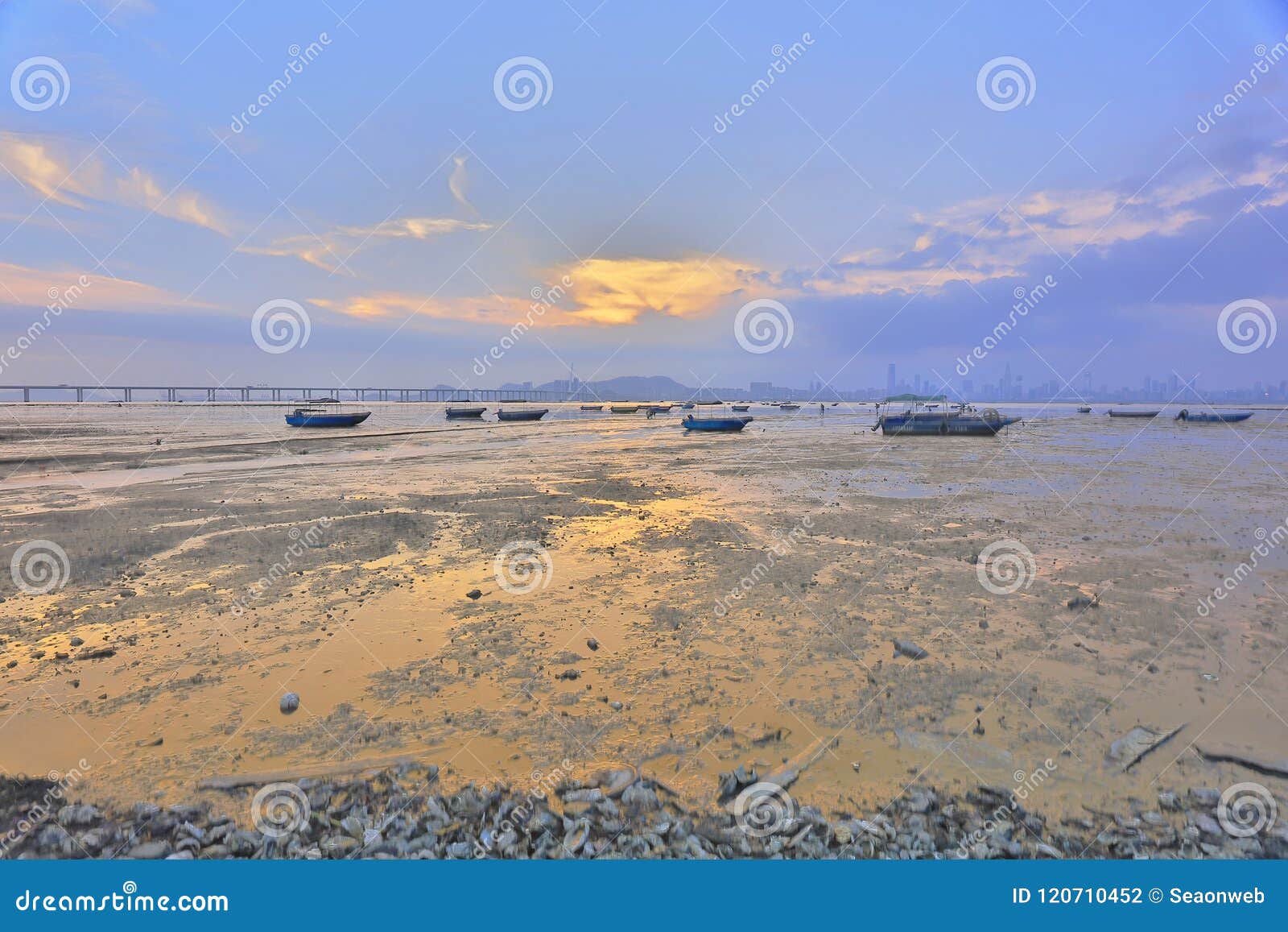 Deep Bay, Shenzhen Bay, View at Hk Stock Photo - Image of bright ...