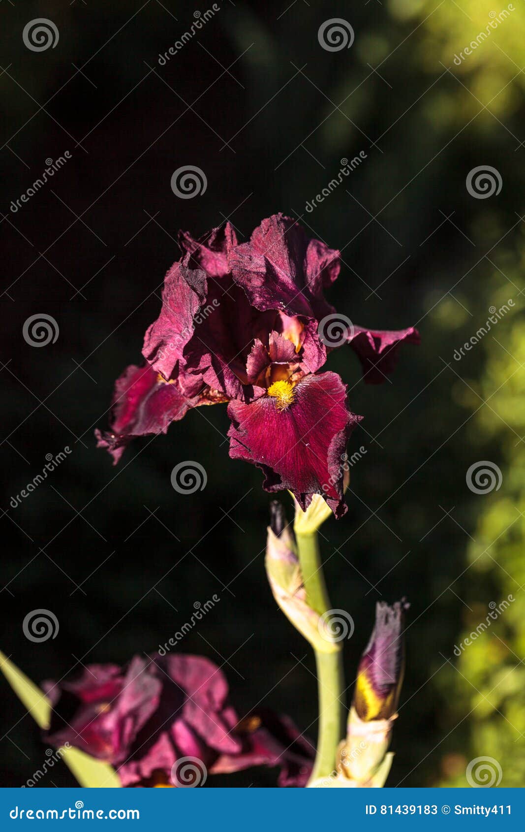Deep Blood Red Color Brick Wall Background Royalty-Free Stock Image ...