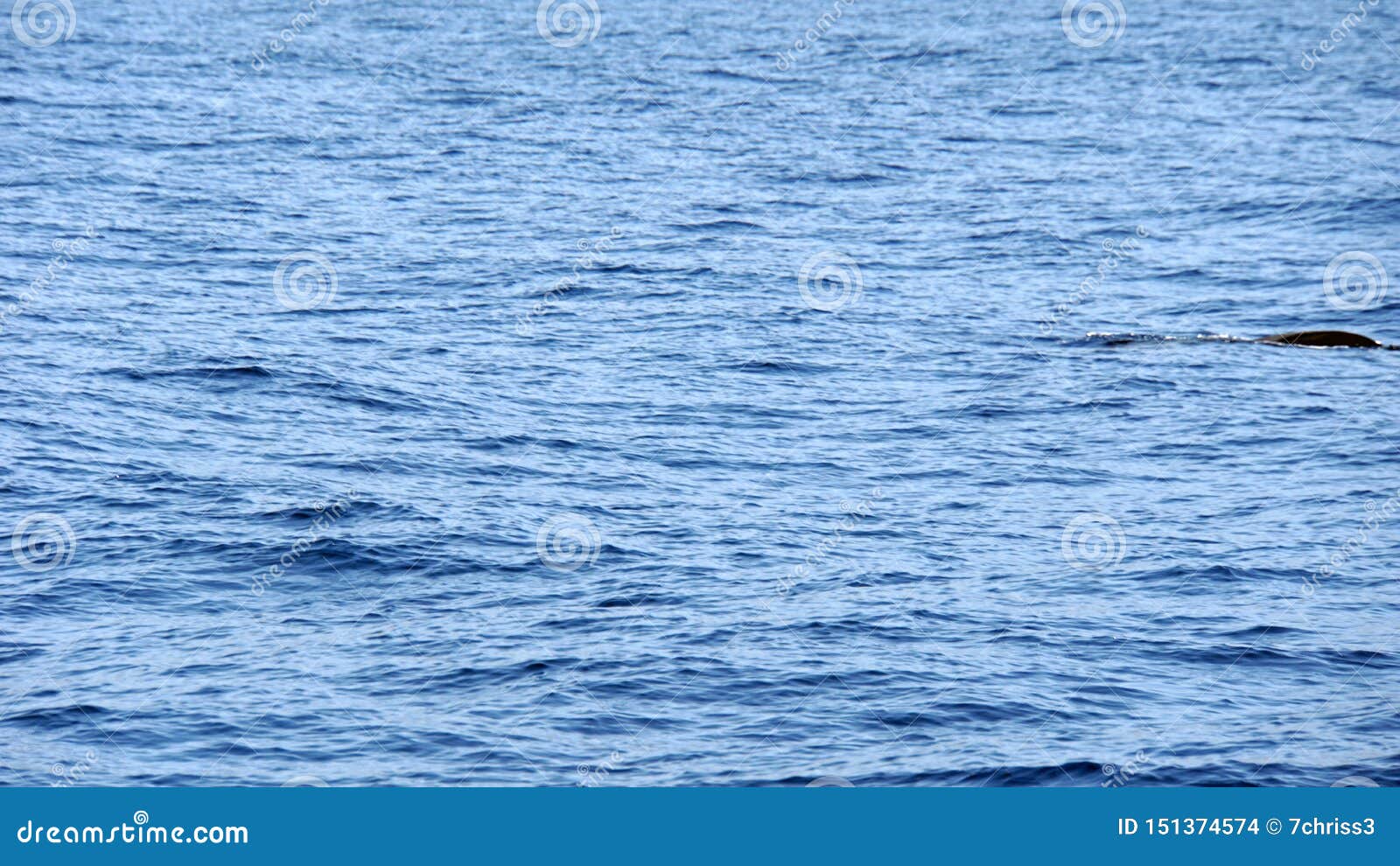 Deep blue atlantic ocean stock photo. Image of atlantic - 151374574