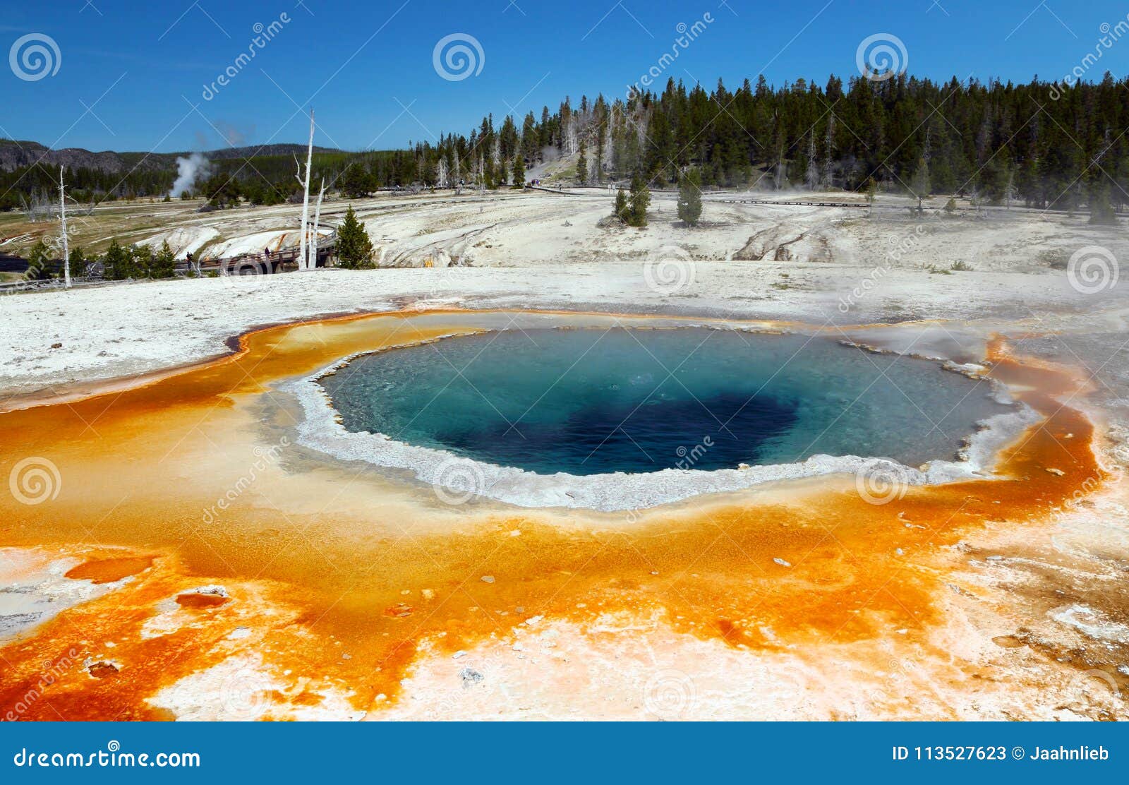 Yellowstone National Park, Colorful Crested Pool, Upper Geyser Basin ...