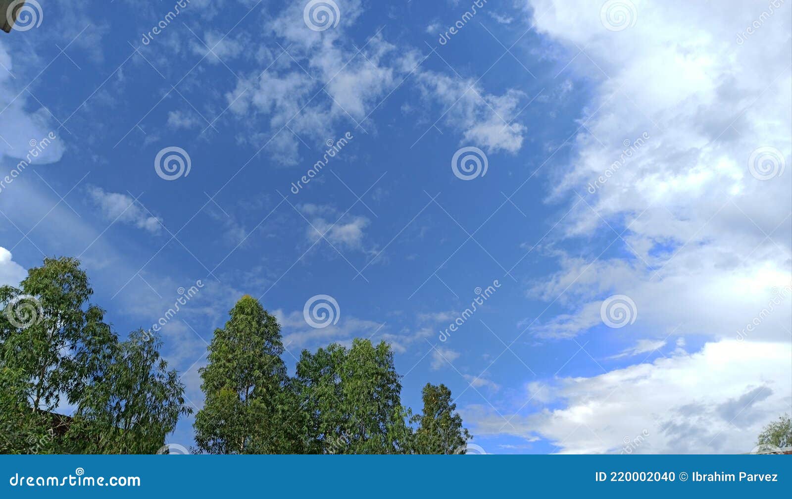 Deep Blue Clowdy Sky with Trees Stock Photo - Image of blue, clowdy ...