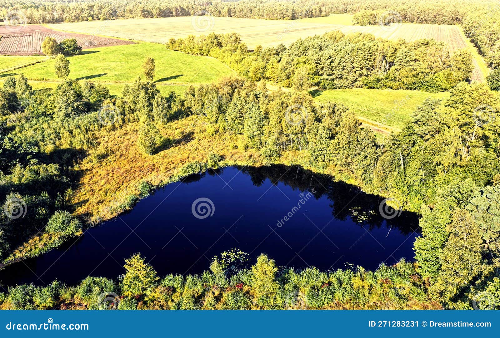 Deep Blue Pond in a Green Heathland in Front of Fields and Meadows ...