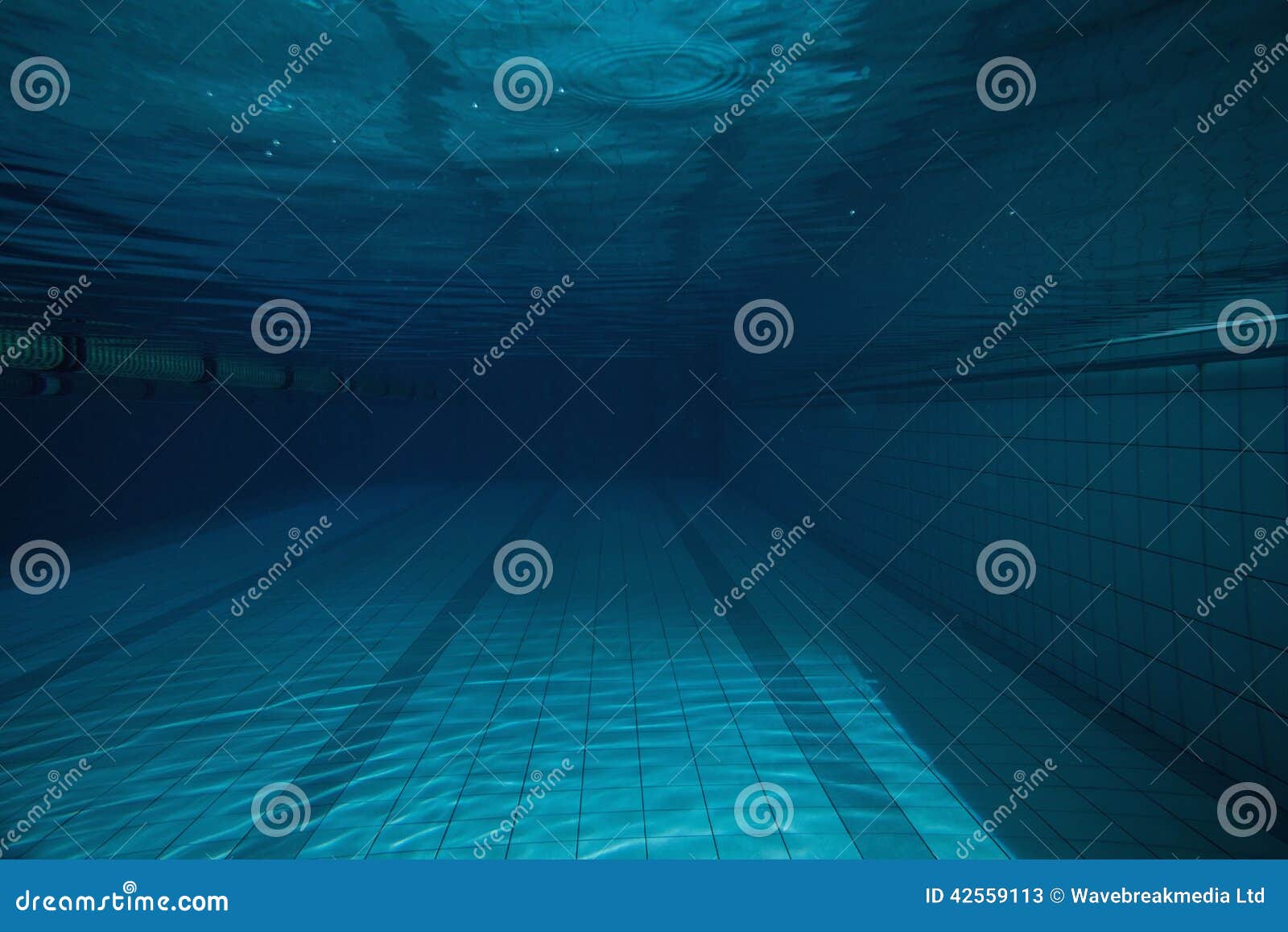 Deep Blue Swimming Pool with No One in it Editorial Stock Photo - Image ...