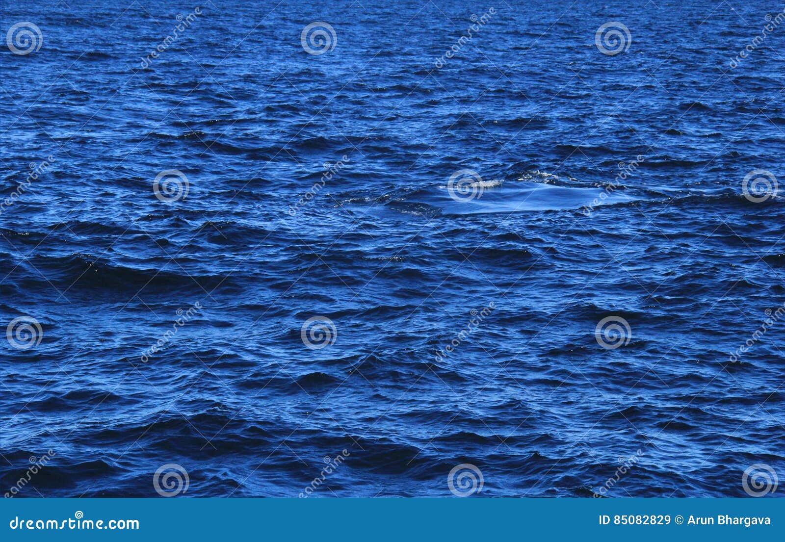 Deep Blue Water background stock image. Image of beach - 85082829