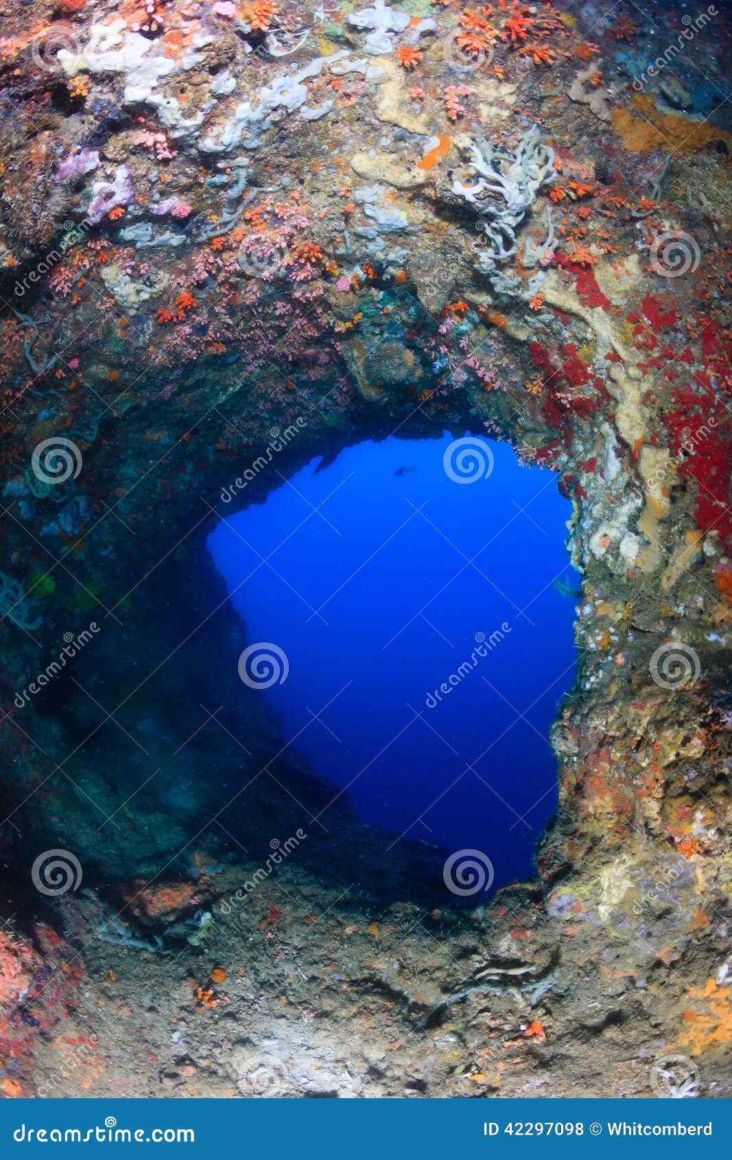 Deep Blue Water at an Underwater Cave Exit Stock Photo - Image of hole ...