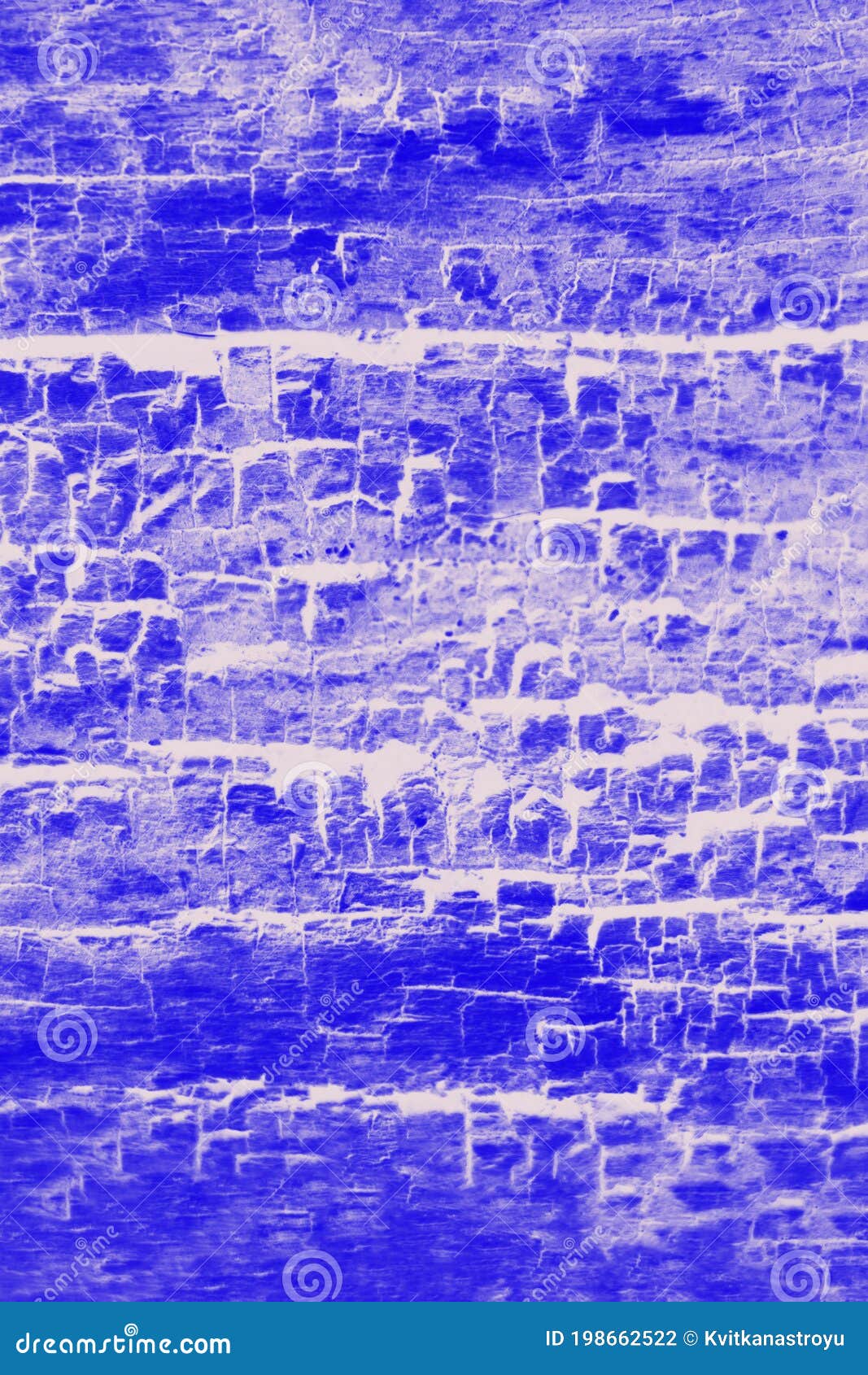 White Patchy Texture Of Silver Birch Tree, Also Called European White ...