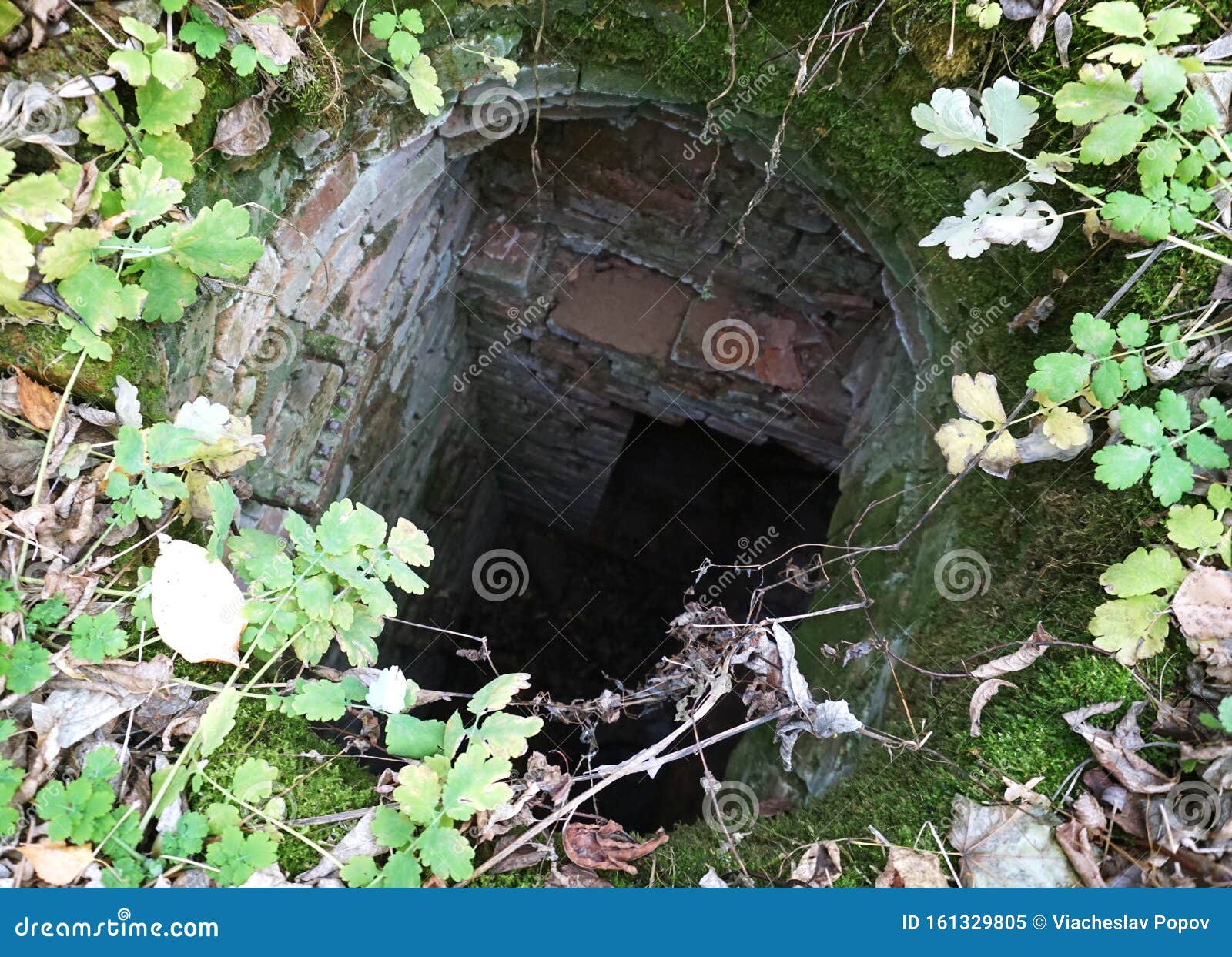 Deep brick well stock image. Image of forest, deep, light - 161329805