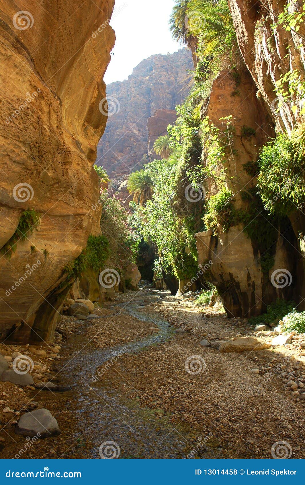 Deep Canyon. stock photo. Image of brook, vacation, canyon - 13014458