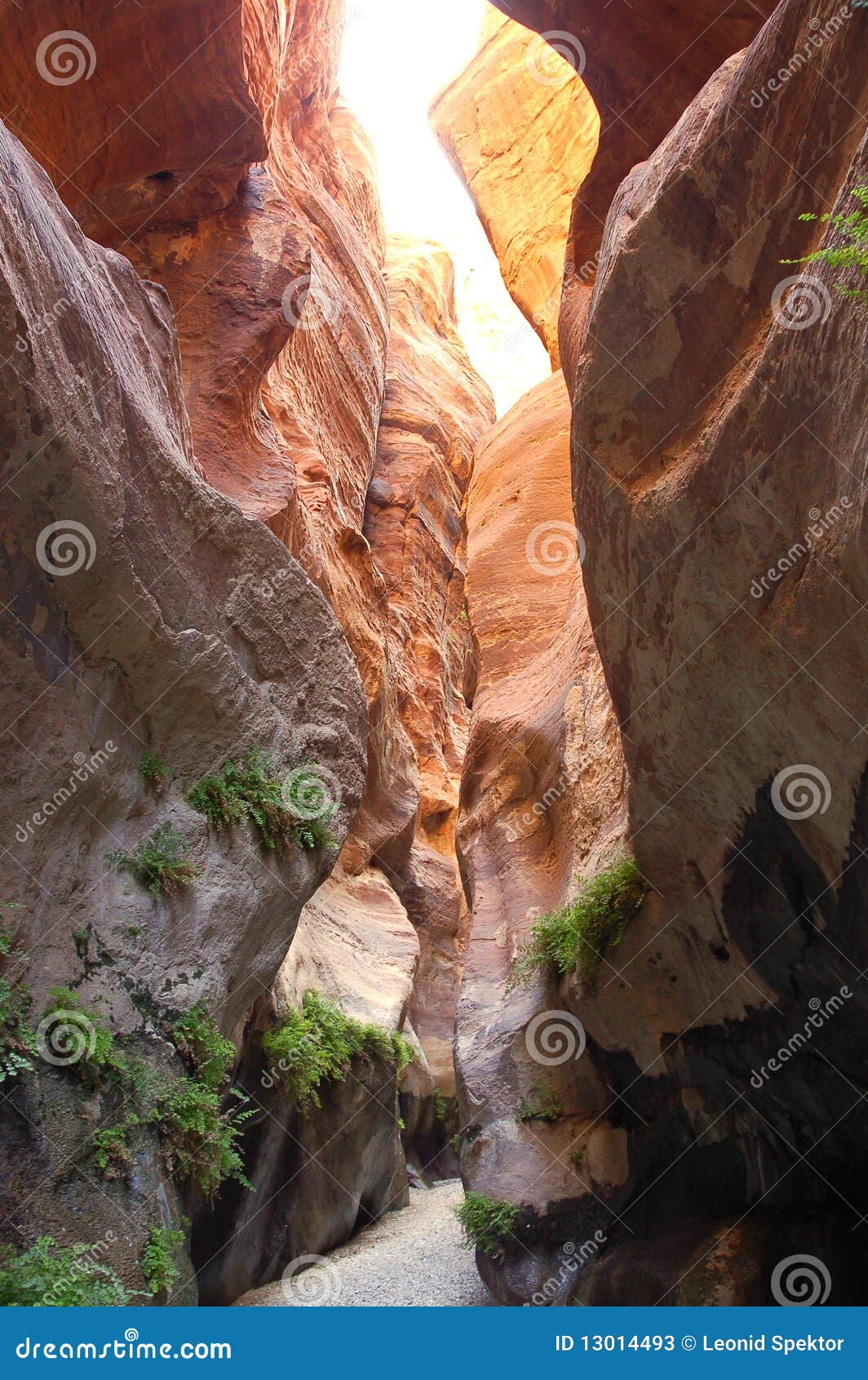 Deep Canyon. stock image. Image of stone, steep, tourist - 13014493