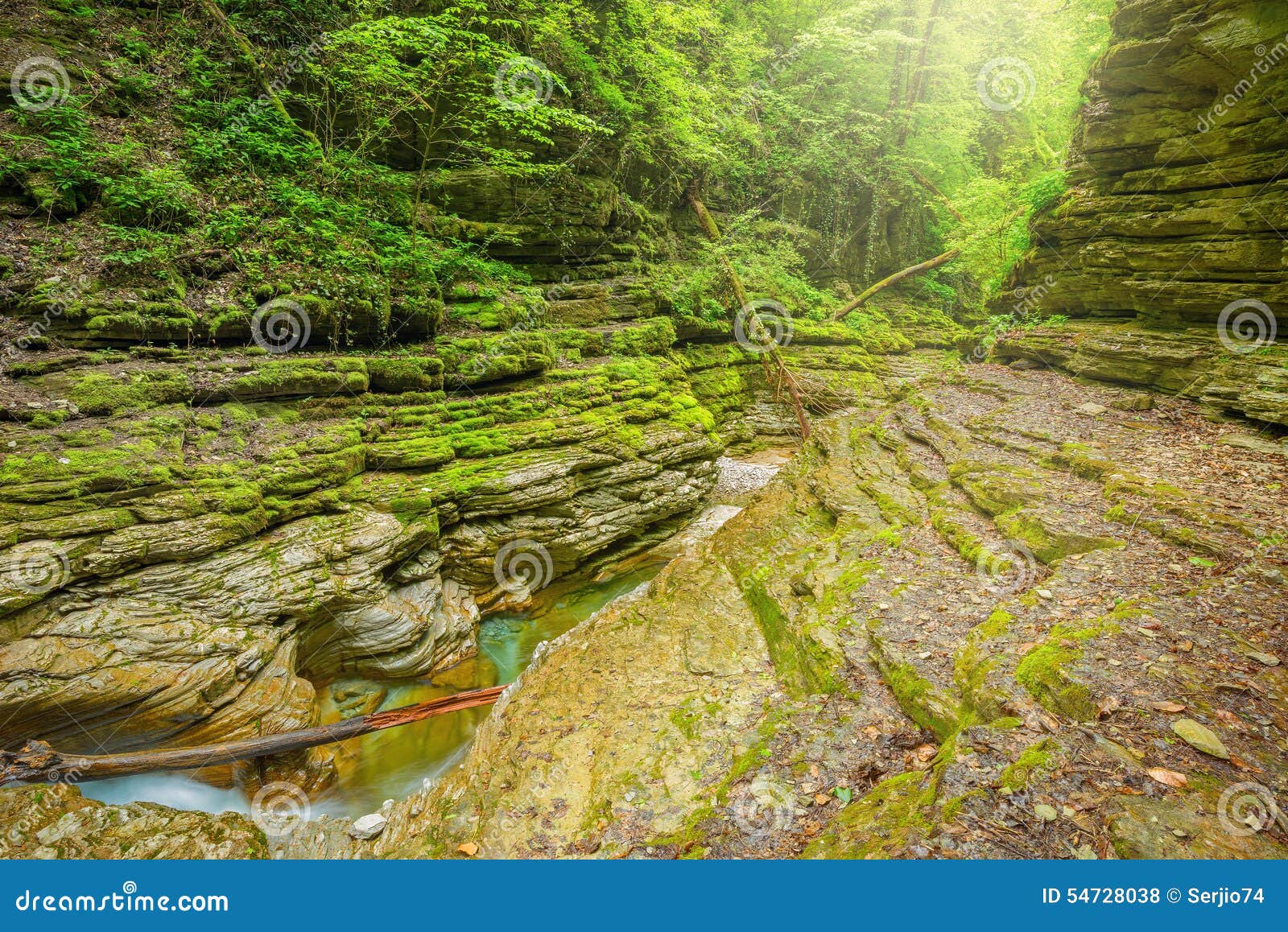 Deep canyon. stock photo. Image of green, landmark, marble - 54728038