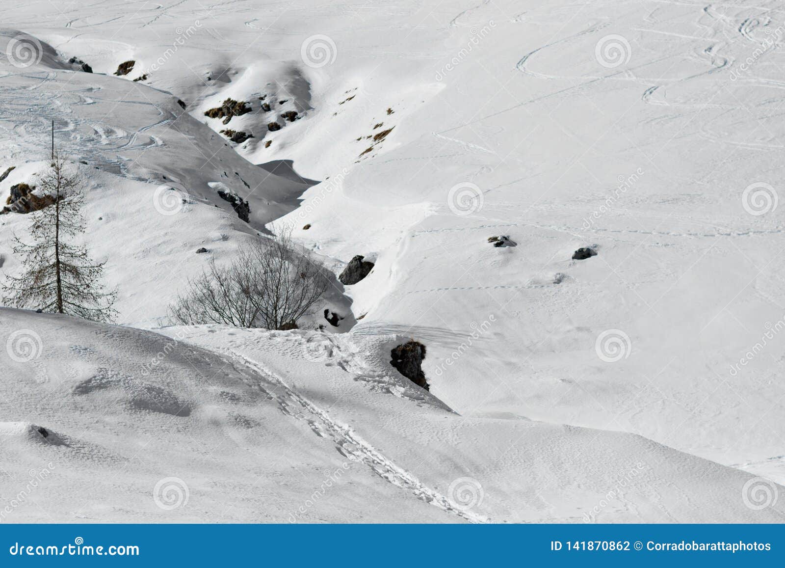 A Deep Canyon Filled with Snow Stock Photo - Image of holiday ...