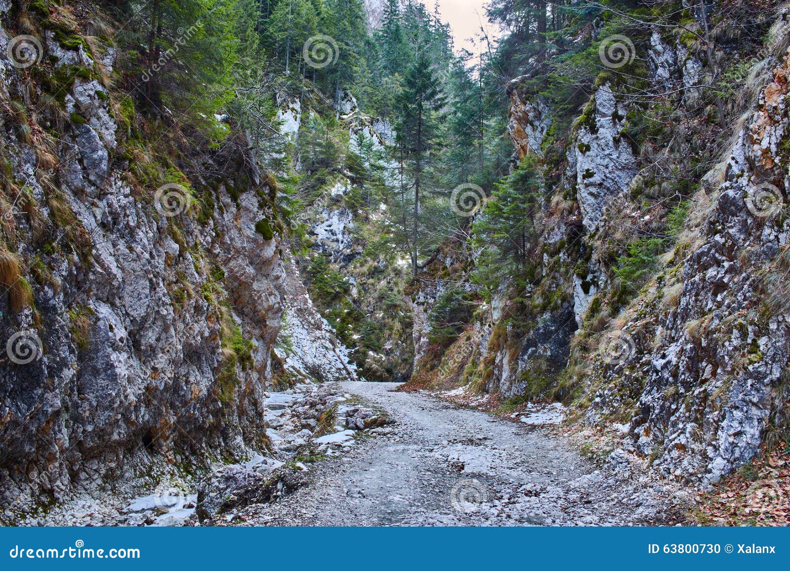 Deep canyon stock photo. Image of canyon, road, summer - 63800730
