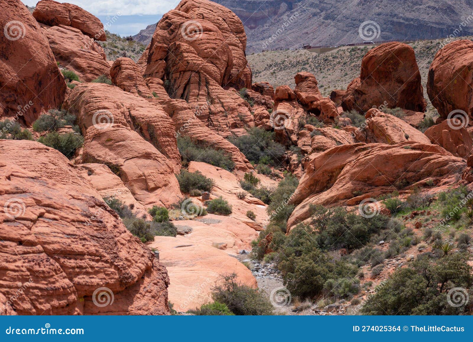 Deep in a Canyon of Red Rocks, with Greenery Poking through Stock Photo ...