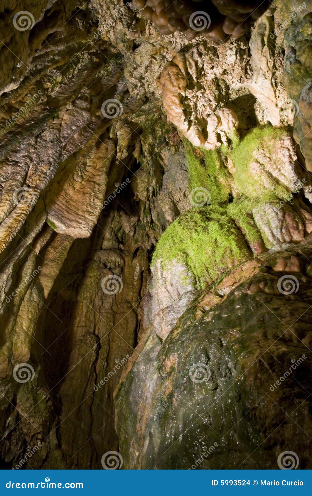 Deep cave stock photo. Image of acid, details, growing - 5993524