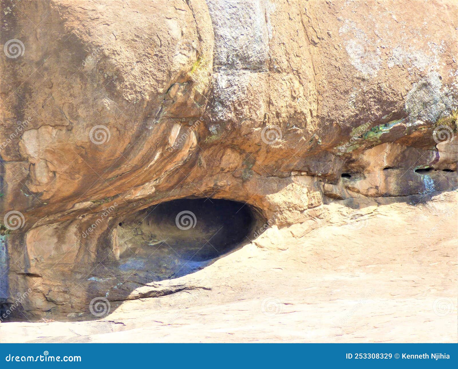 Deep cave on a huge stone stock image. Image of tree - 253308329
