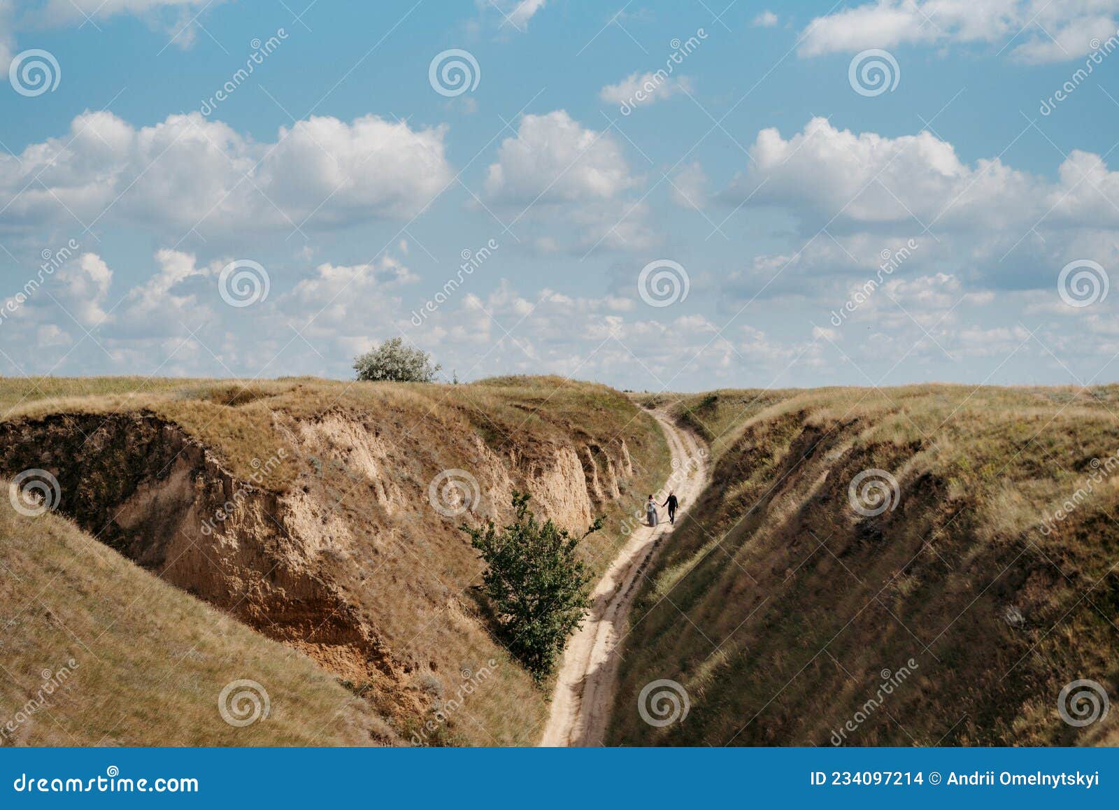 Deep clay canyon overgrown stock photo. Image of clay - 234097214