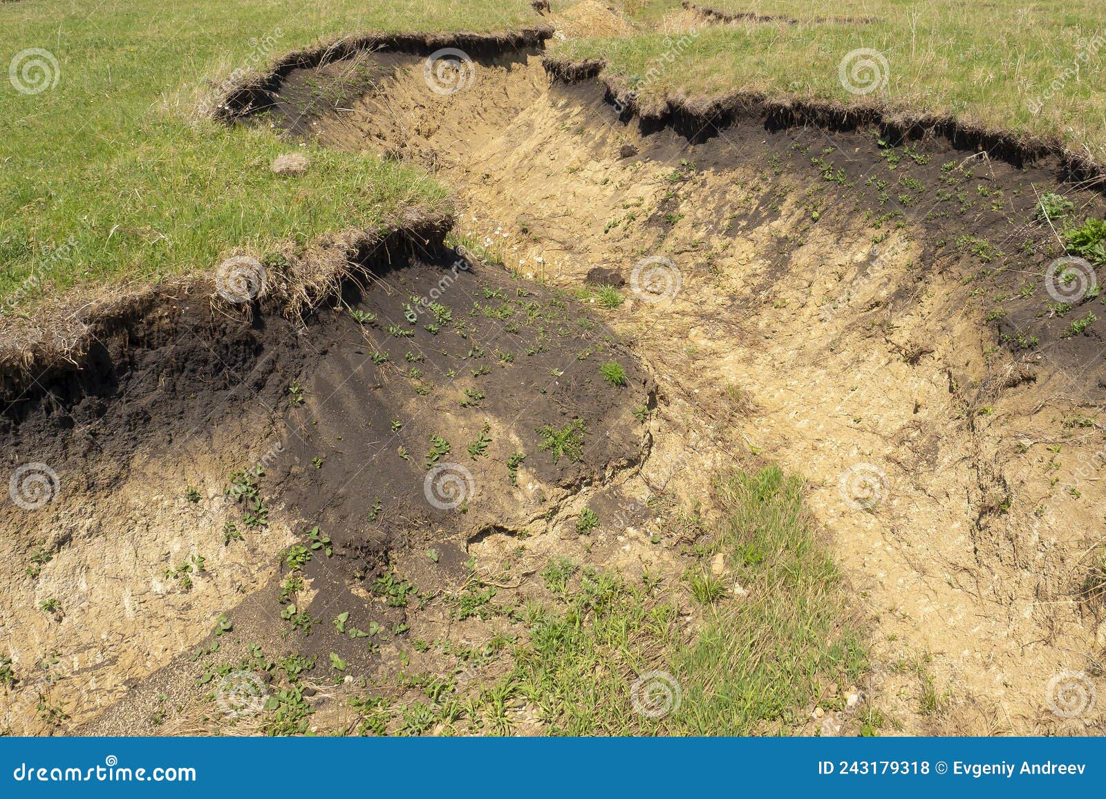 Deep Clay Ravine Close Up. Soil Erosion Stock Photo - Image of canyon ...