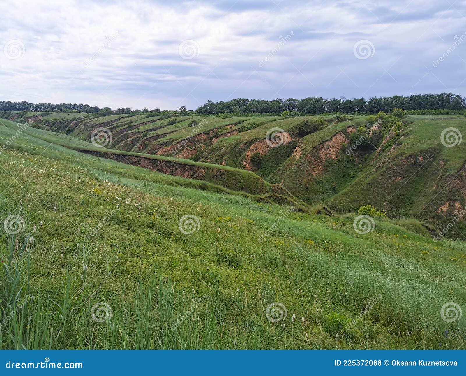 A Deep Clay Ravine Formed by Erosion by a Water Stream. Soil Erosion ...