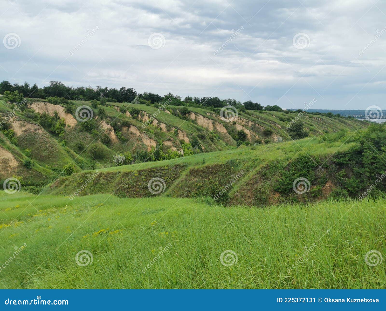 A Deep Clay Ravine Formed by Erosion by a Water Stream. Soil Erosion ...
