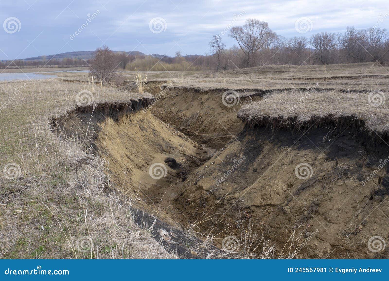 Deep Clay Ravine, Gully. Water Erosion of the Soil Stock Image - Image ...