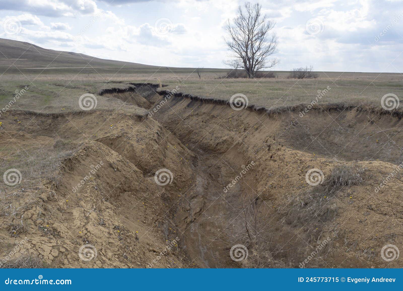 Deep Clay Ravine. Soil Erosion Stock Image - Image of scene, soil ...