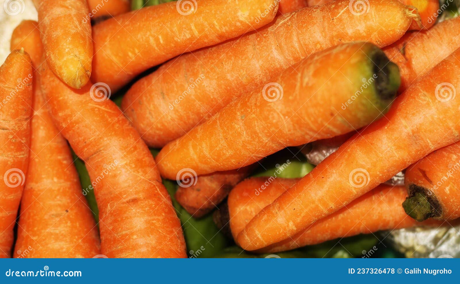 Deep color of carrot stock photo. Image of vegetable - 237326478