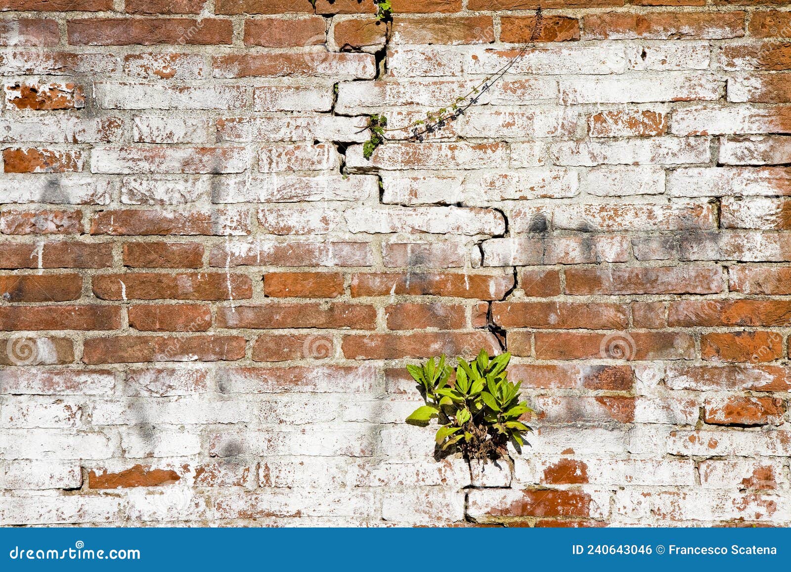 Deep Crack in Old Brick Wall Stock Photo - Image of fissured, crevice ...