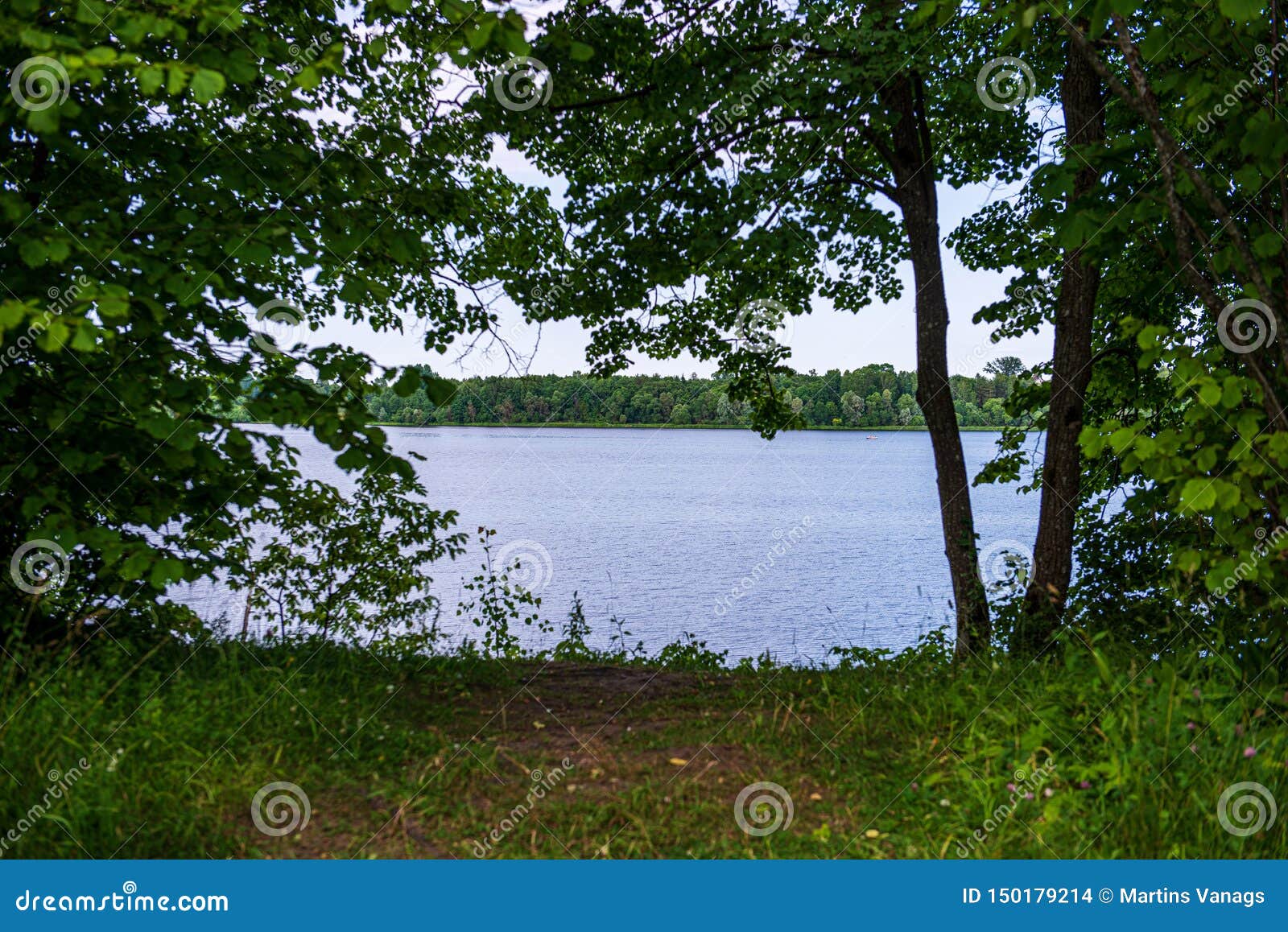 Deep Dark Forest Lake with Reflections of Trees and Green Foliage Stock ...