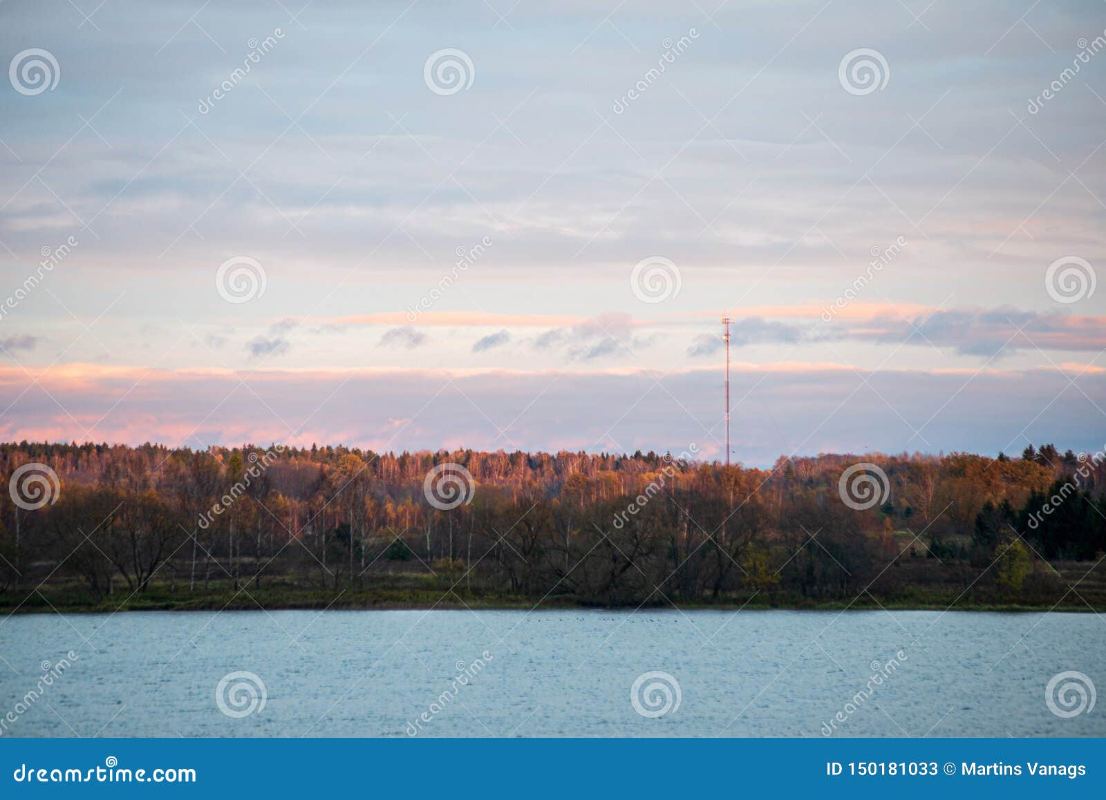 Deep Dark Forest Lake with Reflections of Trees and Green Foliage Stock ...