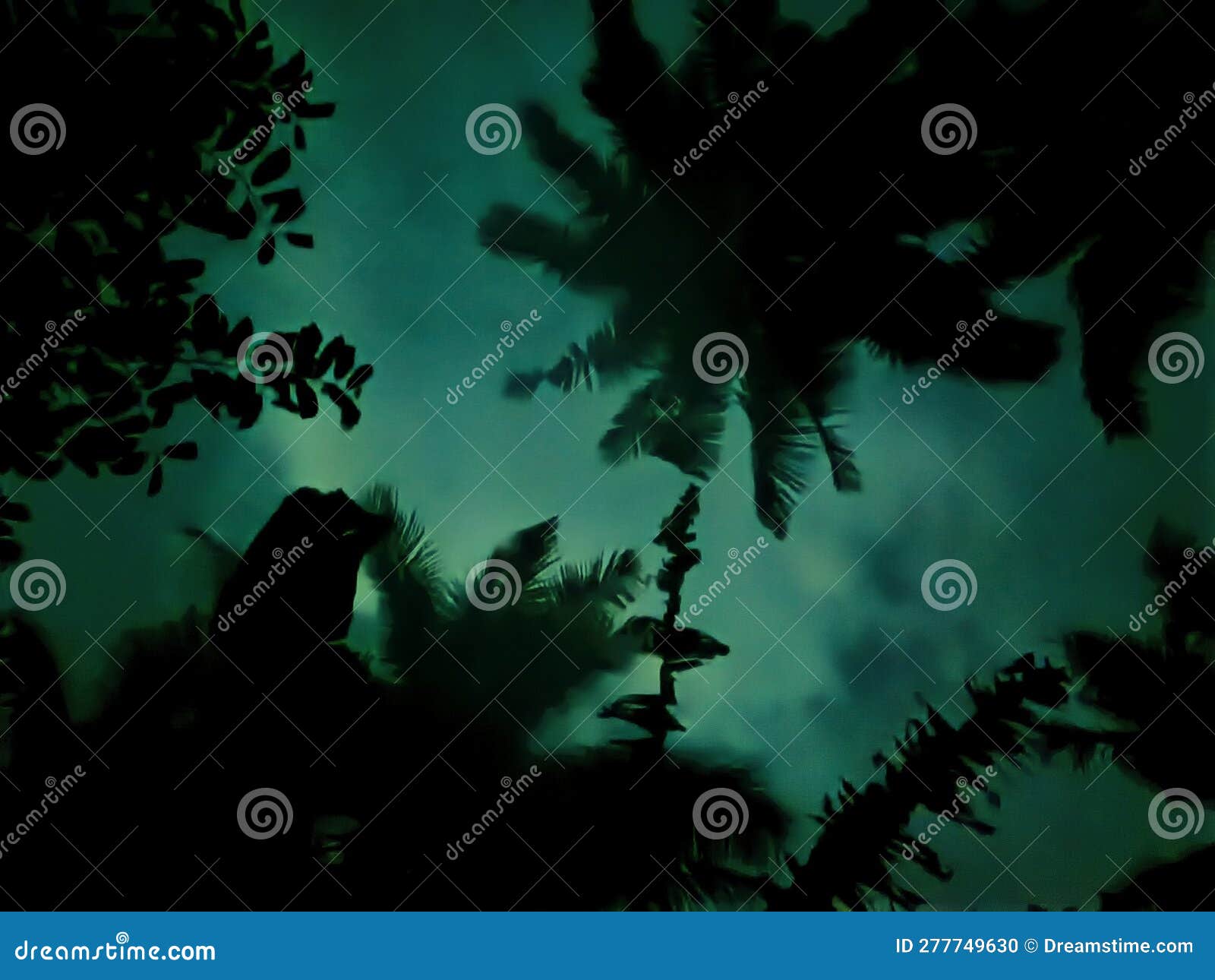 Deep Darkness in the Silence of the Forest at Night Stock Photo - Image ...