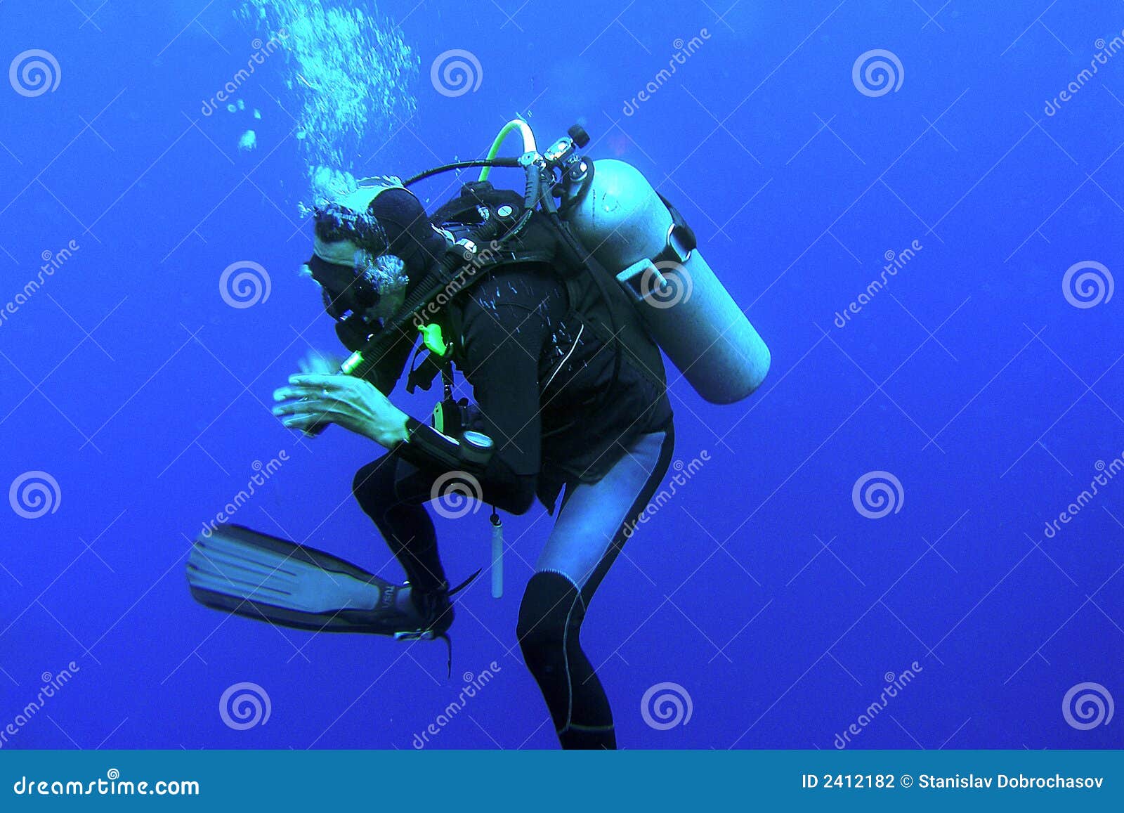 Deep diver stock photo. Image of fish, caribbean, island - 2412182