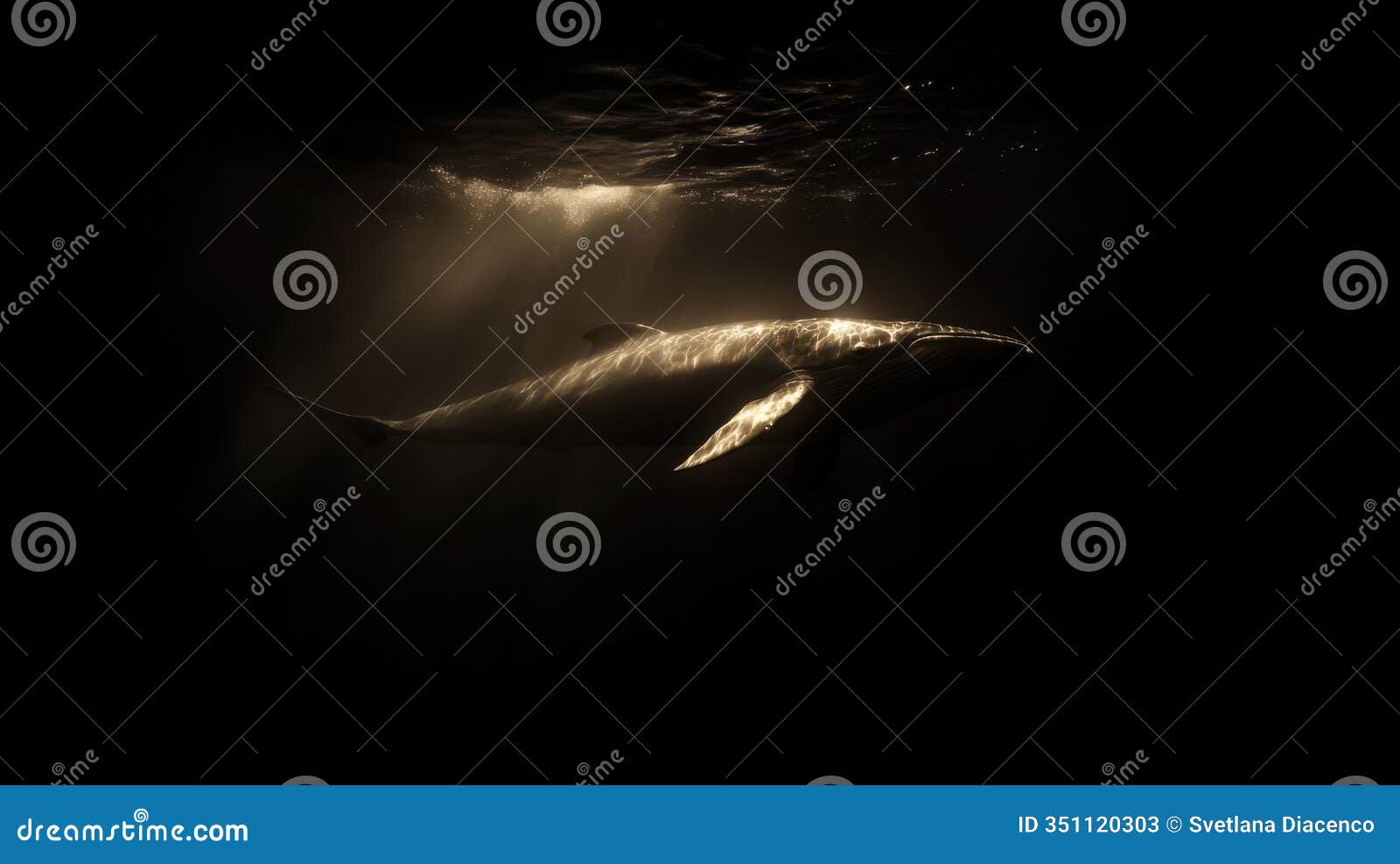 Deep-diving Whale Surrounded by Toxic Particles, Isolation Amid Ocean ...