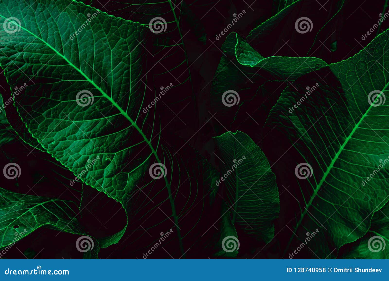 Deep Faded Green Leaves Background. Creative Layout Stock Photo - Image ...