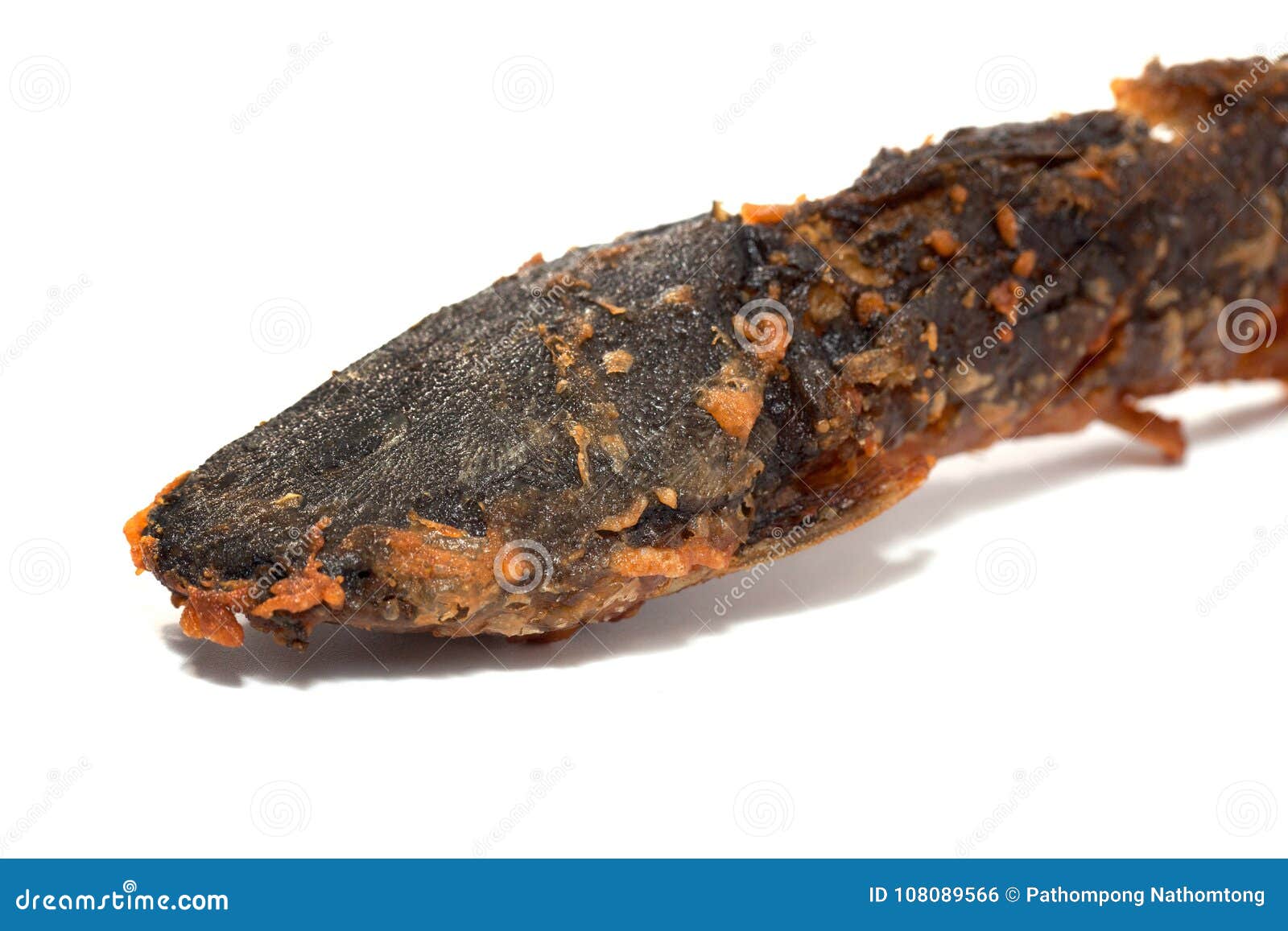 Deep Fired Catfish Isolated on White Stock Photo - Image of background ...