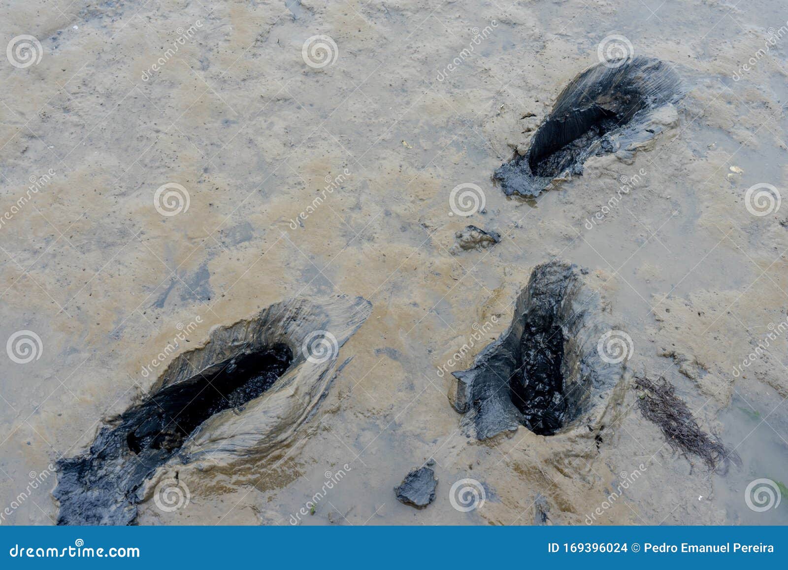 3 Deep Footprints in the Mud of a River in Empty Tide. Stock Photo ...