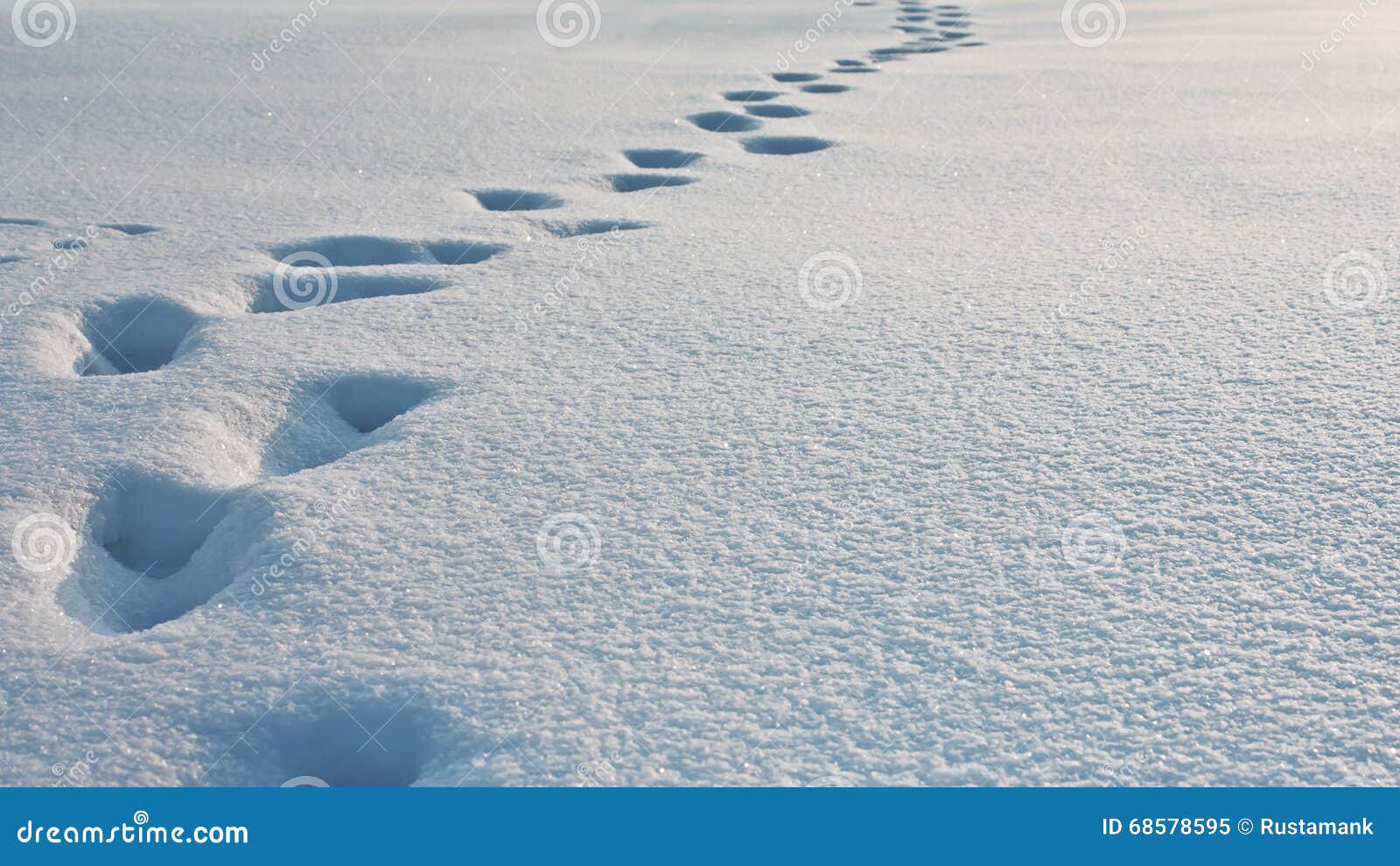Deep Footprints Of Human Bare Feet On A Sandy Beach, A Footprint Path ...