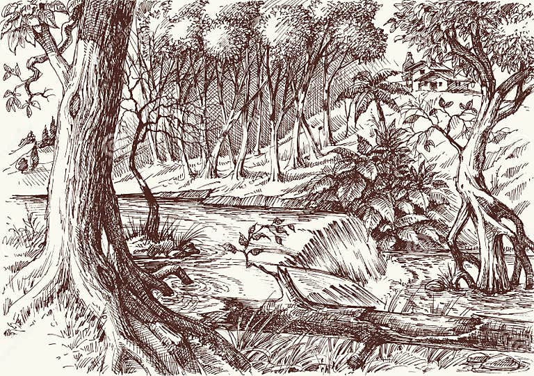 Deep forest hand drawing stock vector. Illustration of outside - 150732706