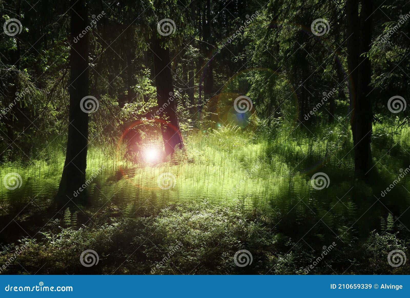 Deep Forest with Lush Green Plants Enlightened by Mysterious Light and ...