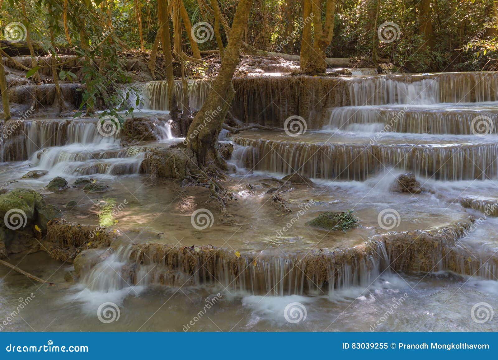 Deep Forest Multiple Layer Blue Stream Waterfall Stock Image - Image of ...